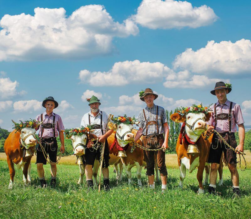 Hinterwälderhof Nittel Keltern – Regionales und nachhaltiges ...